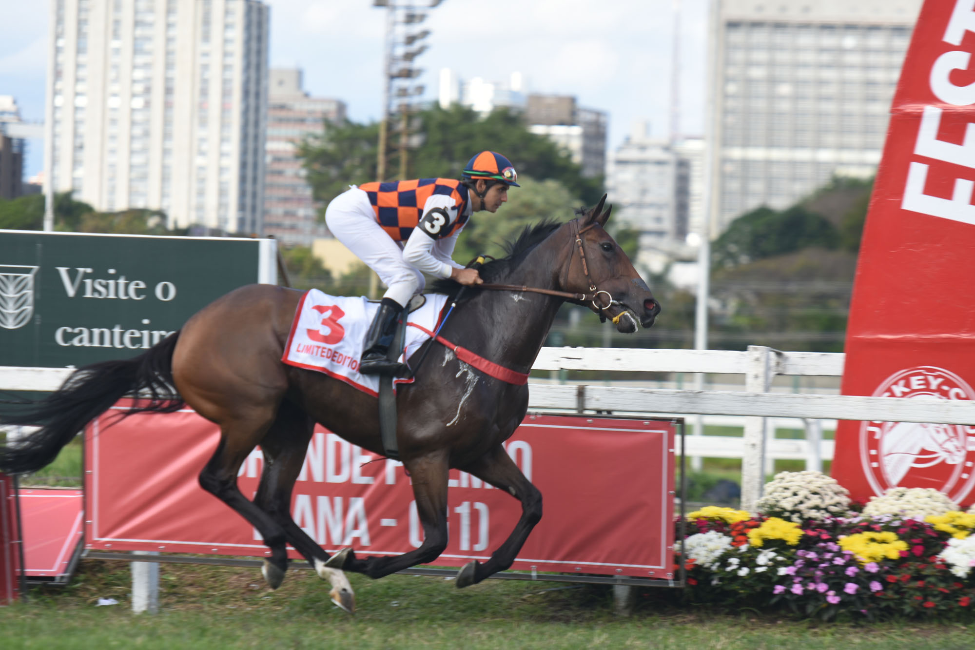 Limited Edition – GP Diana / G1 | Stud RDI