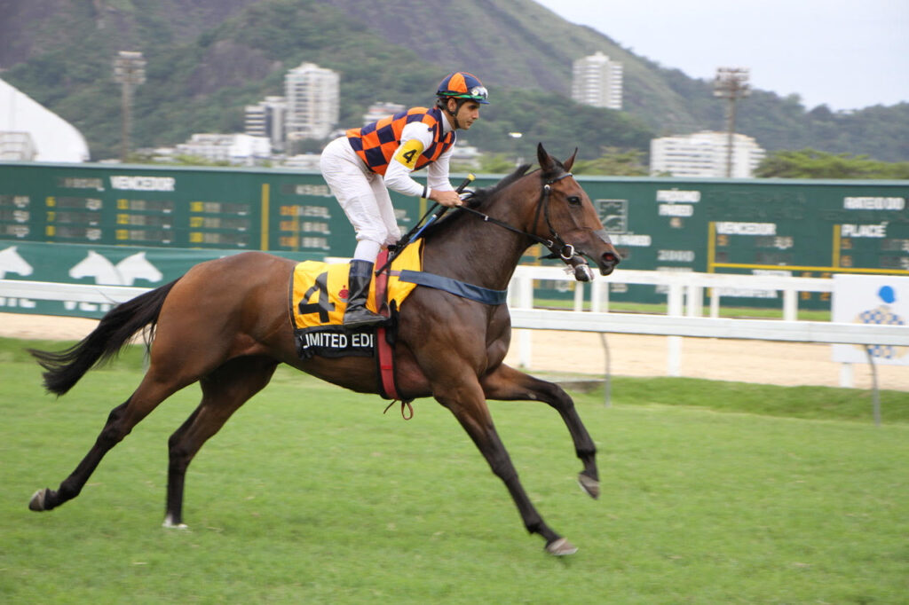 Limited Edition, con la ilusión de la Triple Corona | Stud RDI