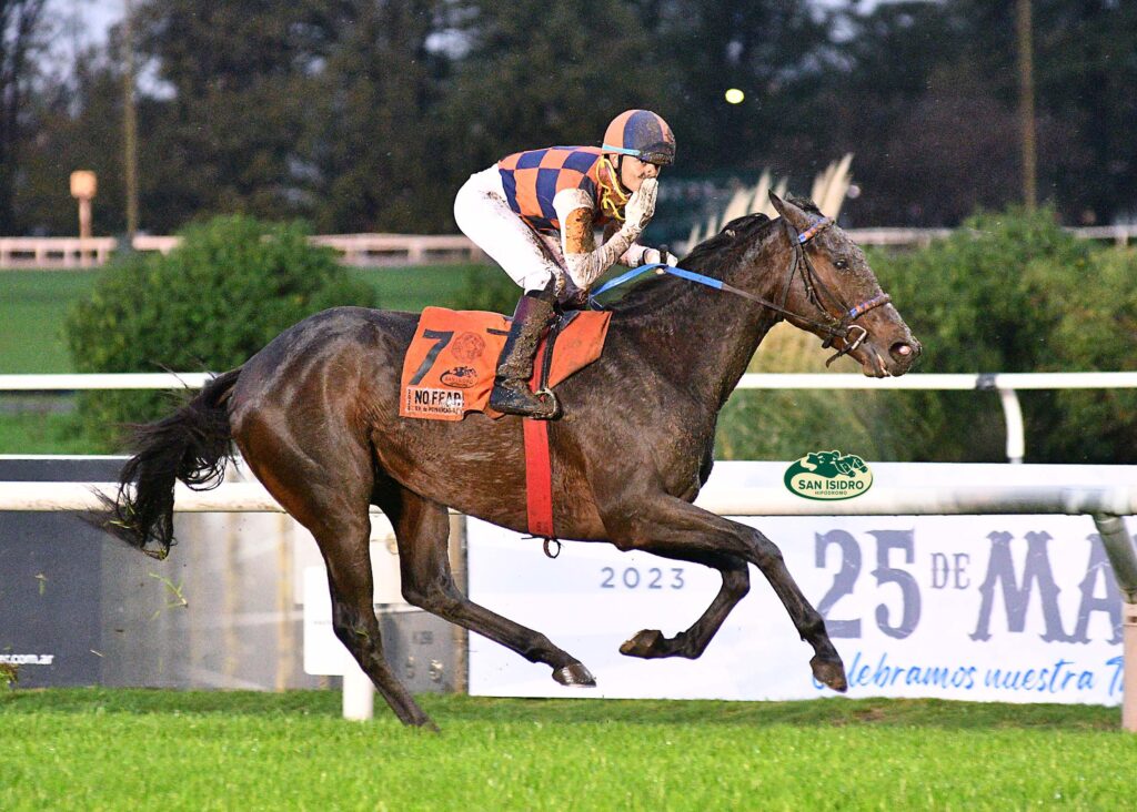 No Fear - GP De Potrancas / G1 | Stud RDI